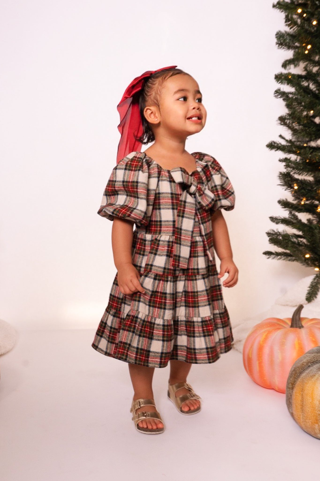Mini Merry Dress in Holiday Plaid – Ivy City Co